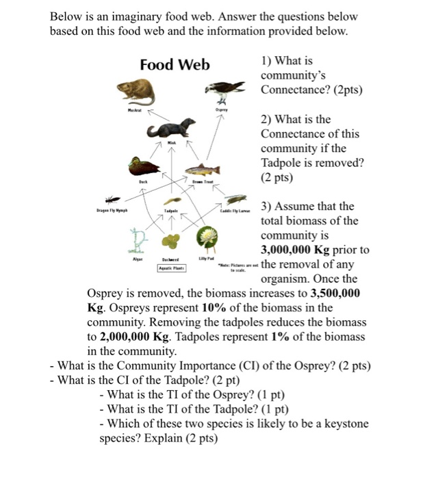Below is an imaginary food web. Answer the questions | Chegg.com