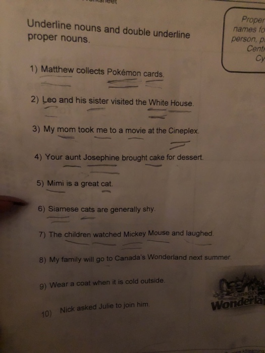 Solved Proper names fo Underline nouns and double underline | Chegg.com