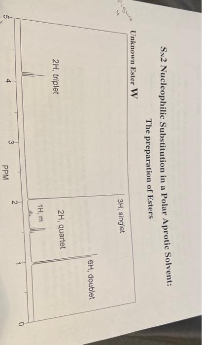 Solved SN2 Nucleophilic Substitution in a Polar Aprotic | Chegg.com