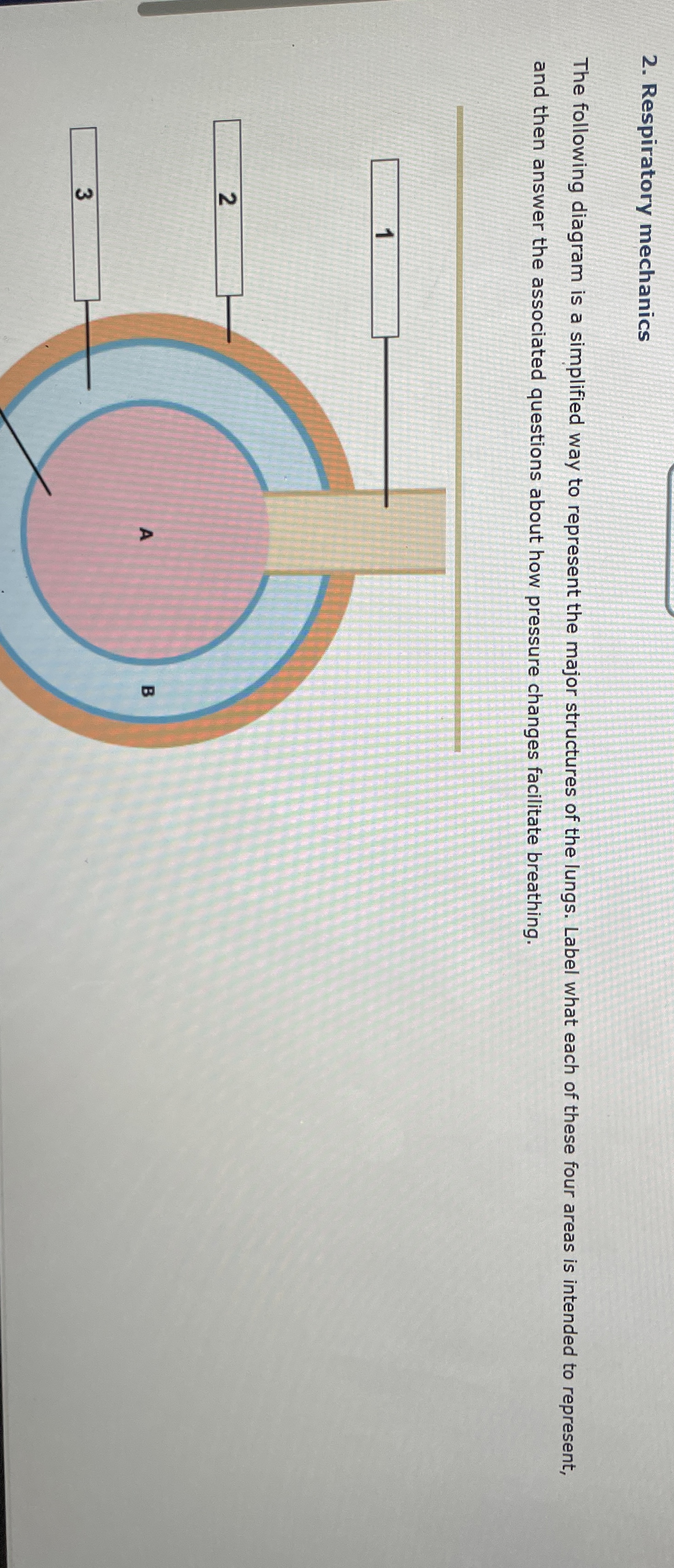 Solved Respiratory mechanicsThe following diagram is a | Chegg.com