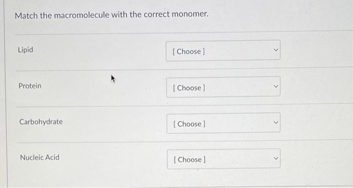 Solved Match the macromolecule with the correct monomer. | Chegg.com