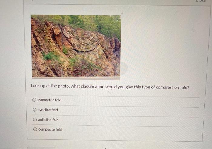 Solved Looking at the photo, what classification would you | Chegg.com
