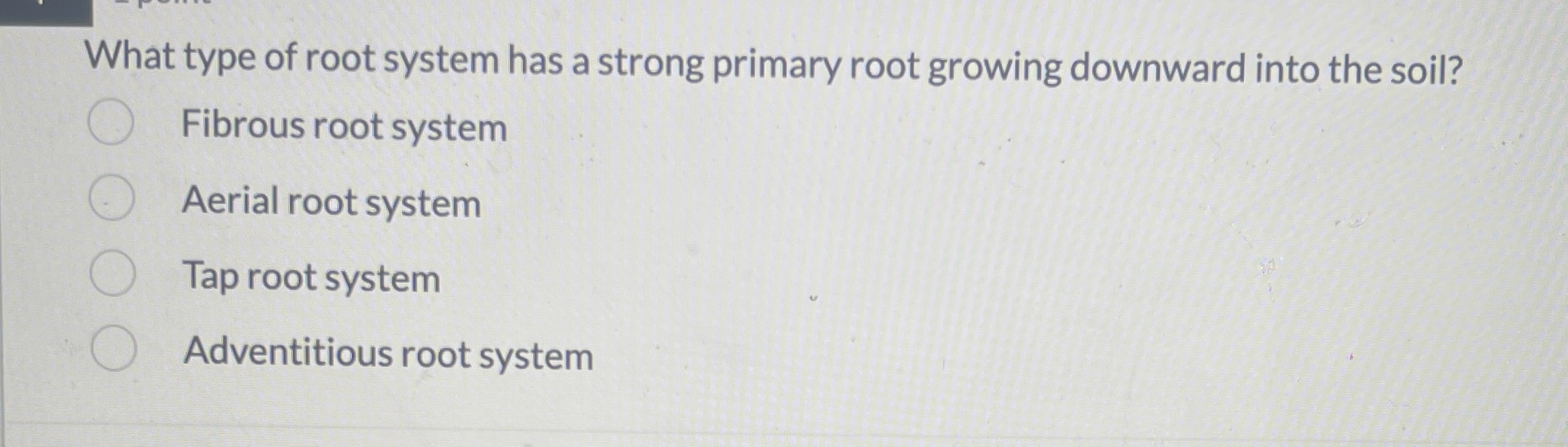Solved What type of root system has a strong primary root | Chegg.com