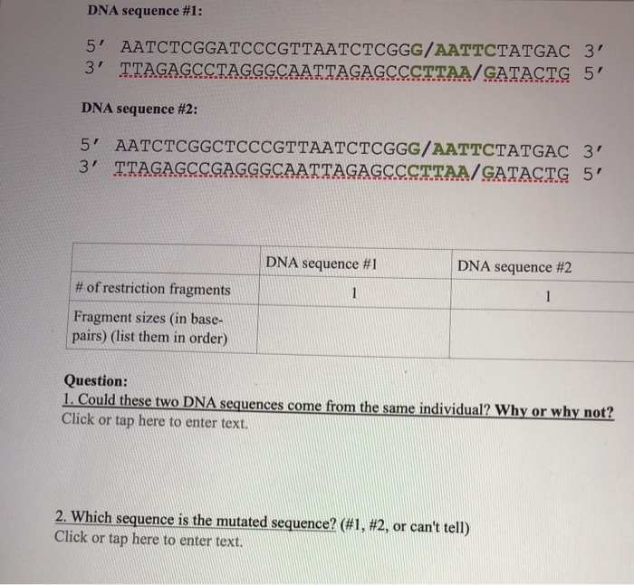 Solved DNA sequence #1: 5' | Chegg.com
