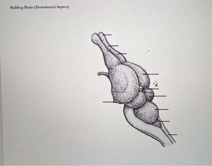 Solved Use the manuals provided to identify the following | Chegg.com