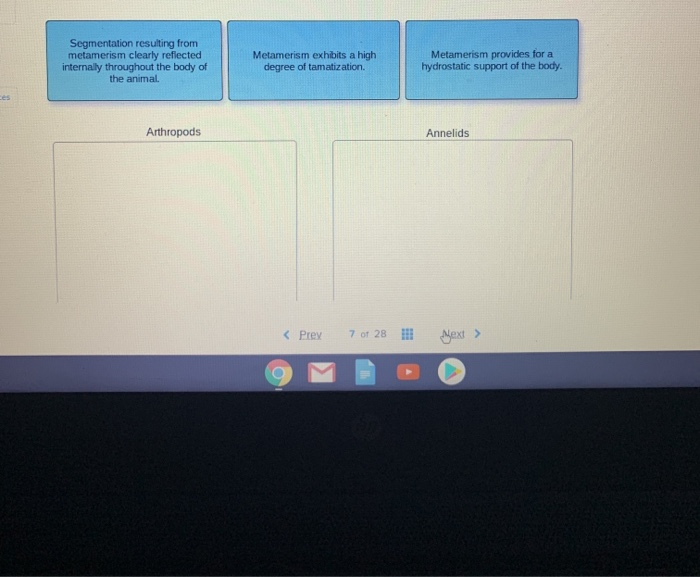 Solved Segmentation resulting from metamerism clearly | Chegg.com