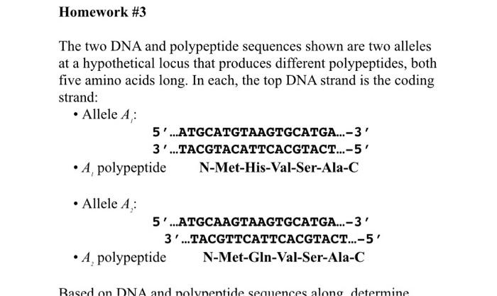 The two DNA and polypeptide sequences shown are two | Chegg.com