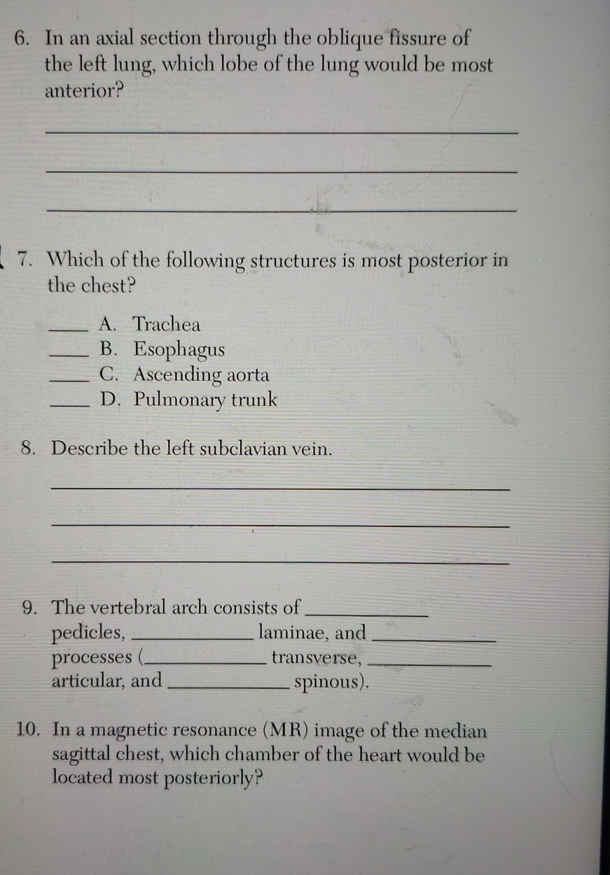 Solved In an axial section through the oblique fissure of | Chegg.com