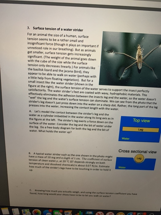Solved 3. Surface tension of a water strider For an animal | Chegg.com