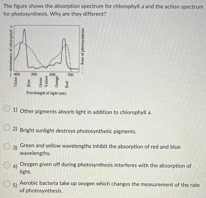 Solved The figure shows the absorption spectrum for | Chegg.com
