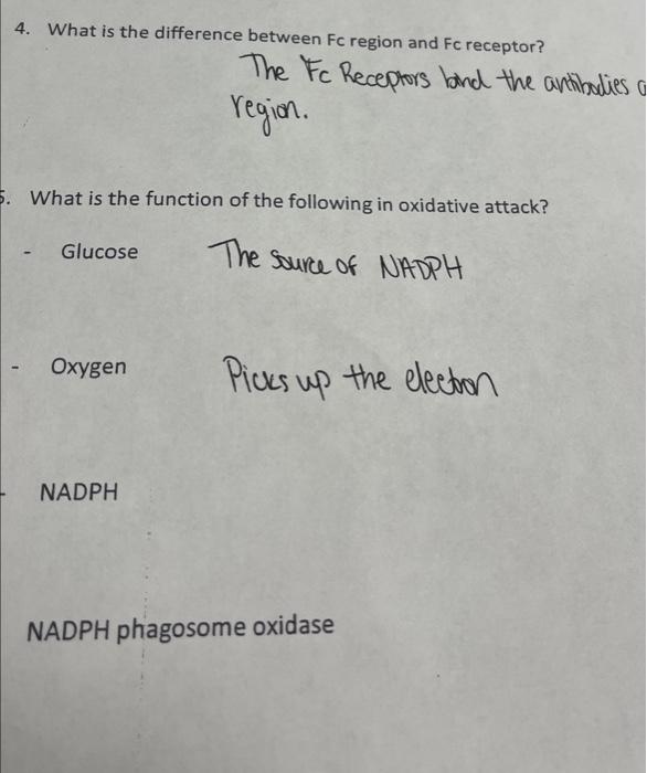 Solved 4. What is the difference between Fc region and Fc | Chegg.com