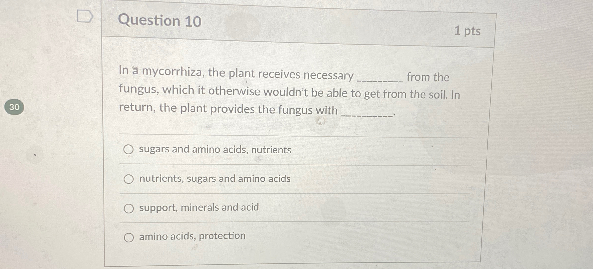 Solved Question 101 ﻿ptsIn a mycorrhiza, the plant receives | Chegg.com