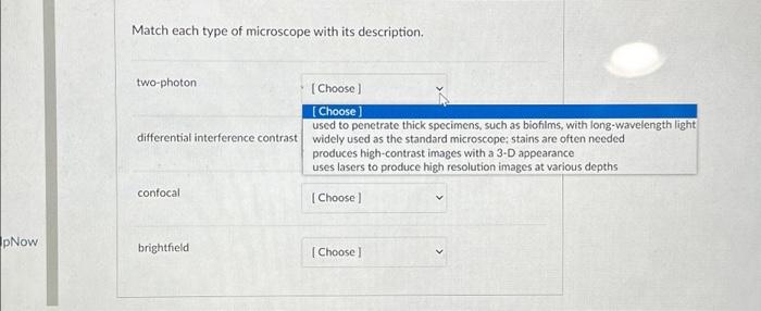 Solved pNow Match each type of microscope with its | Chegg.com