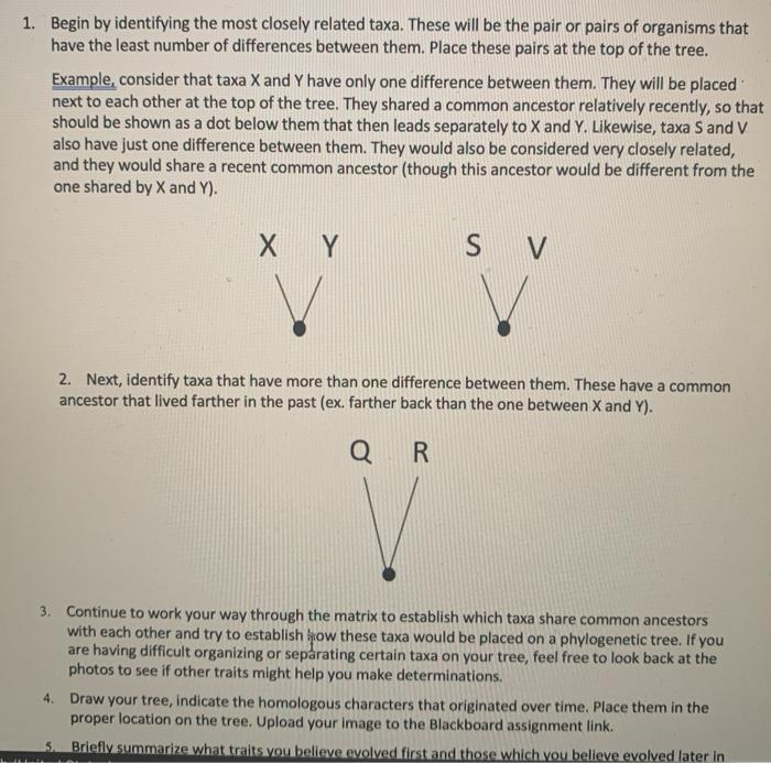 Solved Part 2: Creating a tree Using Table 2 from Part 1 | Chegg.com