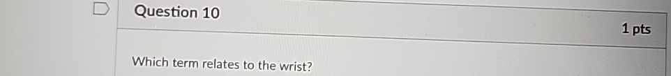Solved Question 101ptsWhich term relates to the wrist? | Chegg.com