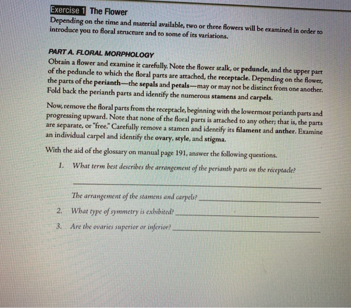 Solved Exercise 1 The Flower Depending on the time and | Chegg.com