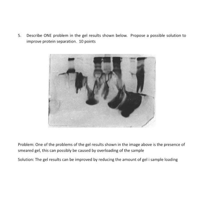 Solved 5. Describe ONE problem in the gel results shown | Chegg.com