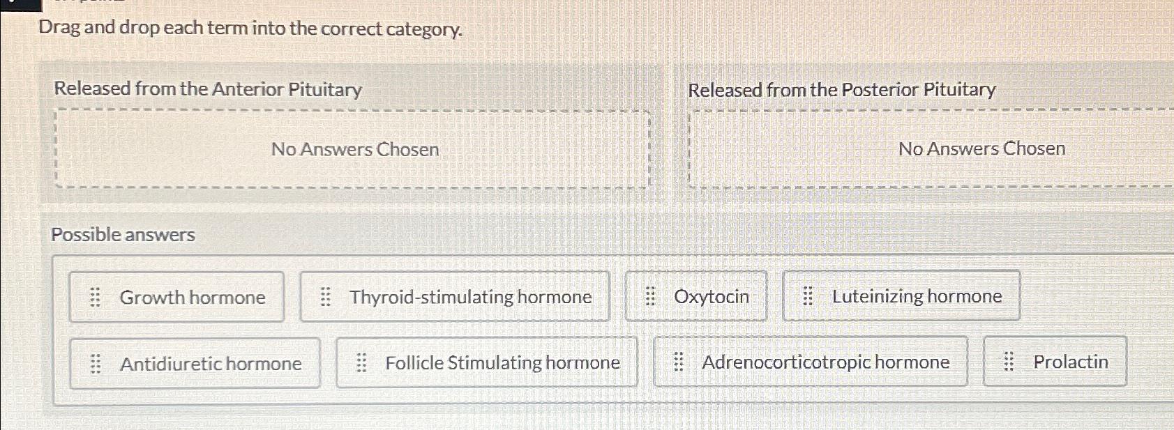 Solved Drag and drop each term into the correct | Chegg.com