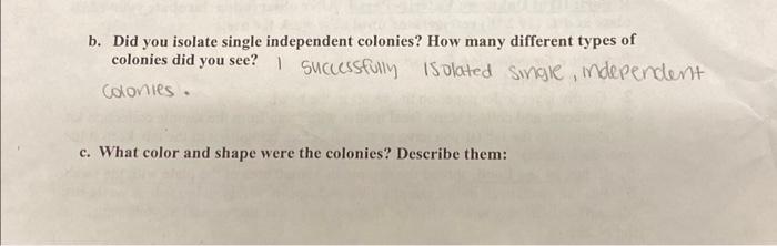 b. Did you isolate single independent colonies? How | Chegg.com