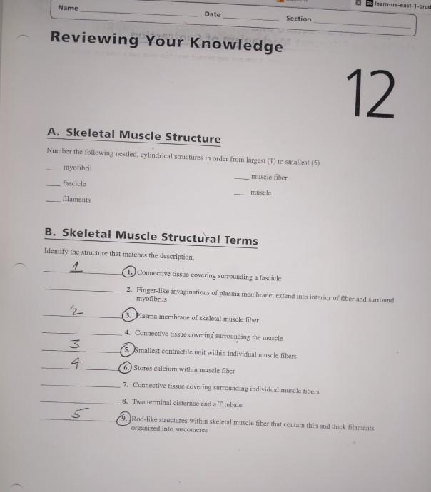 Solved Name learn-us-cast-1-prod Date Section Reviewing Your | Chegg.com
