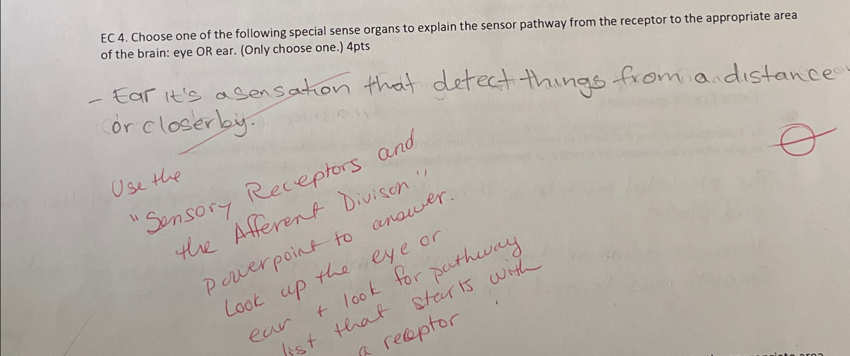 Solved EC 4. ﻿Choose one of the following special sense | Chegg.com