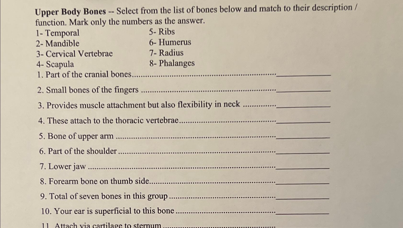 Solved Upper Body Bones -- ﻿Select from the list of bones | Chegg.com