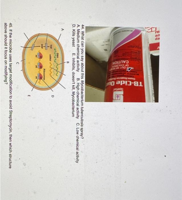 44. What can you say about this Mycobacterium | Chegg.com