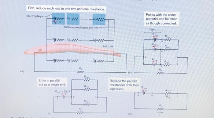 Solved Sample Problem 27.03 Many real batteries in ser | Chegg.com