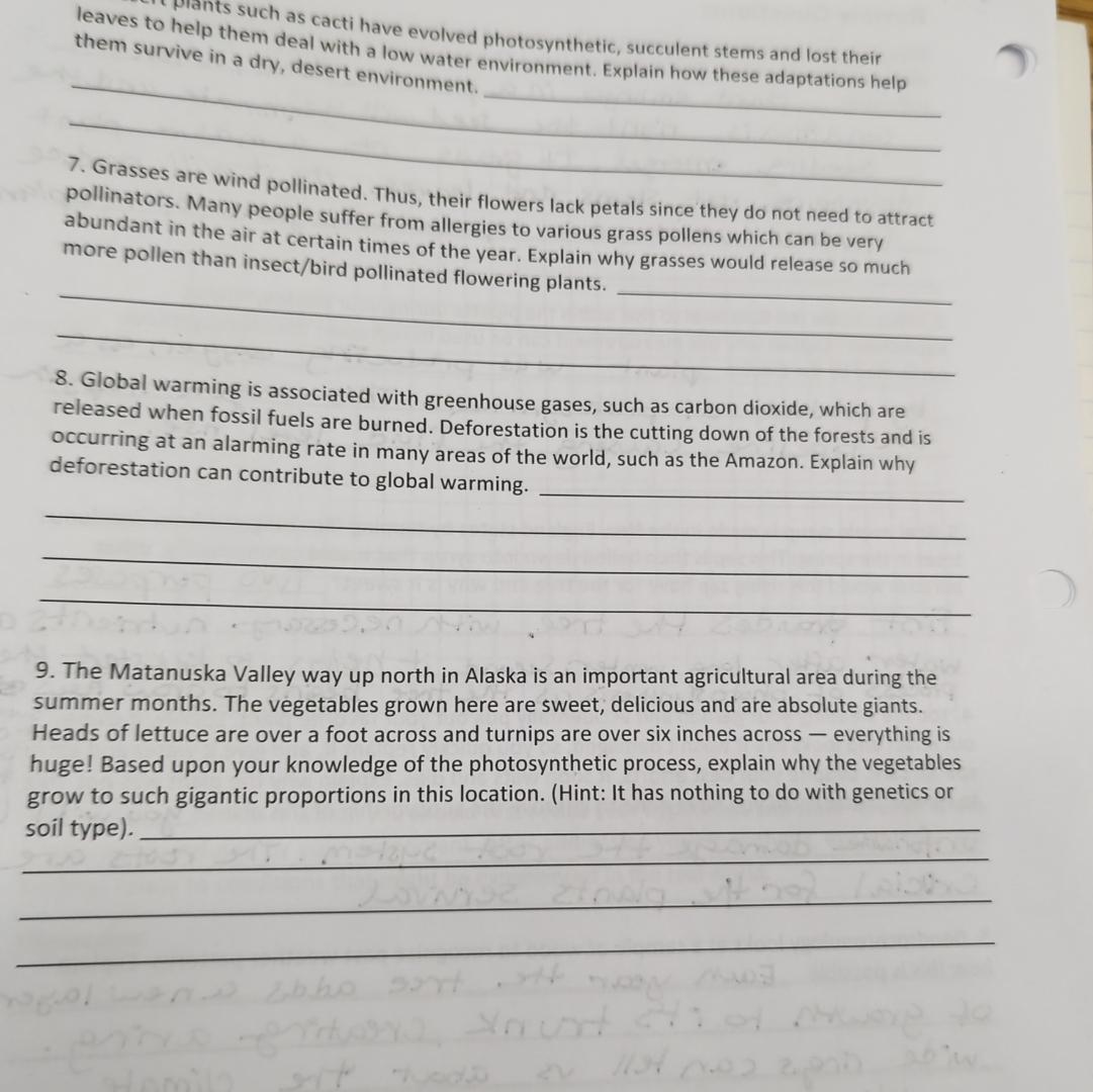 Solved leaves to help such as cacti have evolved | Chegg.com