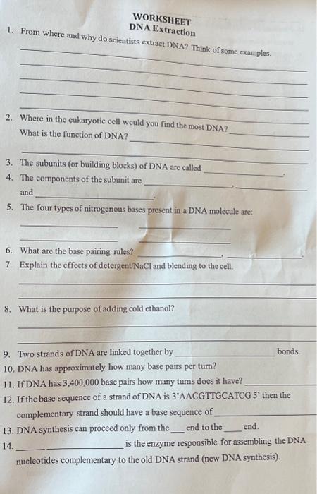 Solved WORKSHEET DNA Extraction 1. From where and why do | Chegg.com
