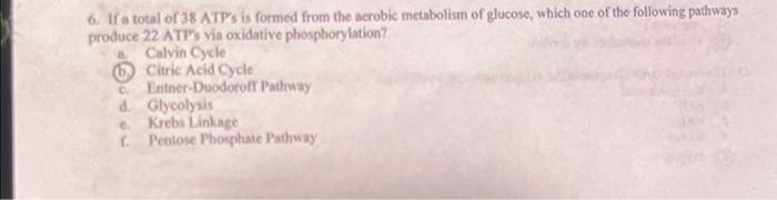 Solved 6. If a total of 38 ATP's is formed from the acrobic | Chegg.com