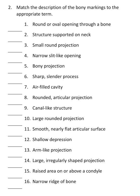 Solved 2. Match the description of the bony markings to the | Chegg.com