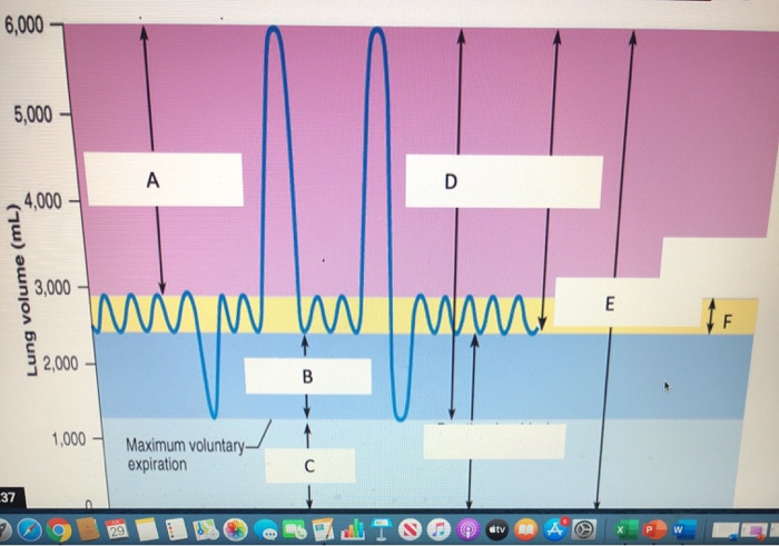 Solved using the spirogram above what is the estimated value | Chegg.com