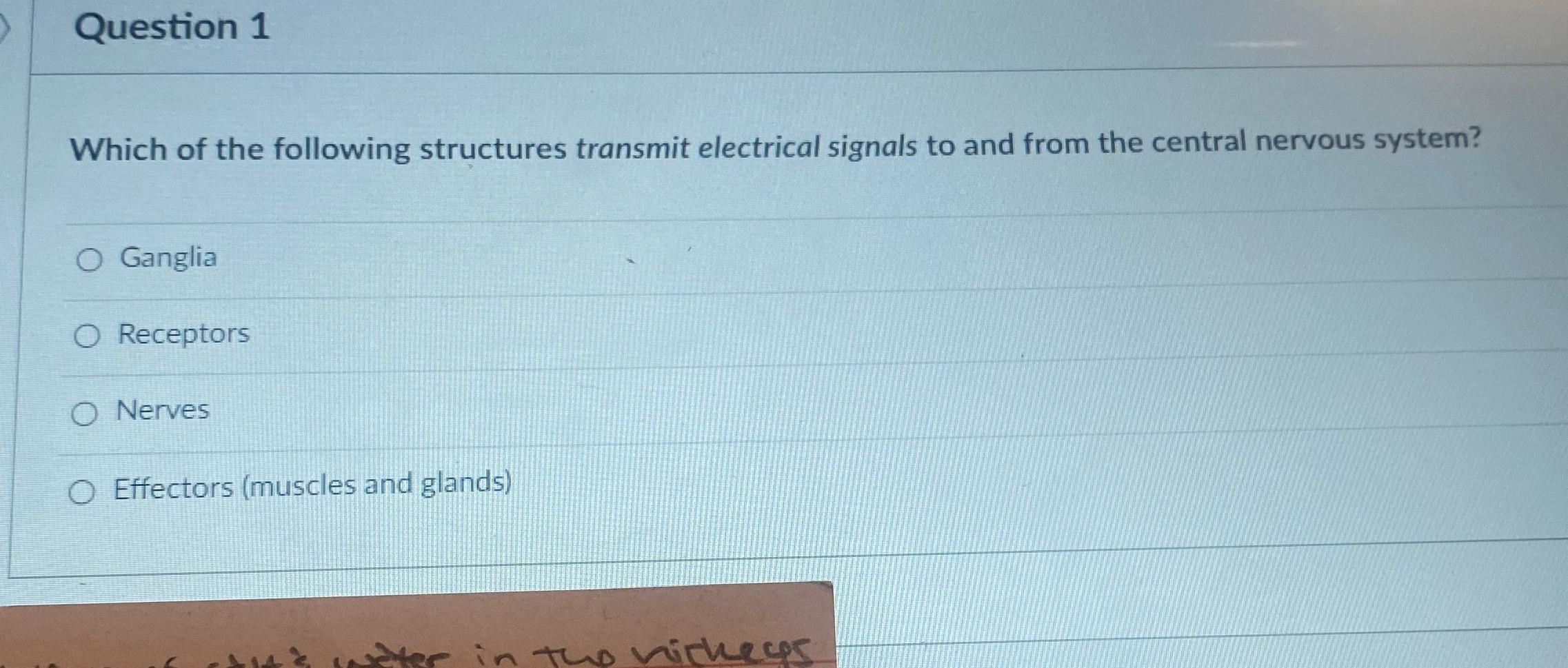 Solved Question 1Which of the following structures transmit | Chegg.com