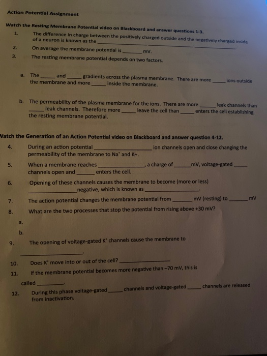Solved Action Potential Assignment Watch the Resting | Chegg.com