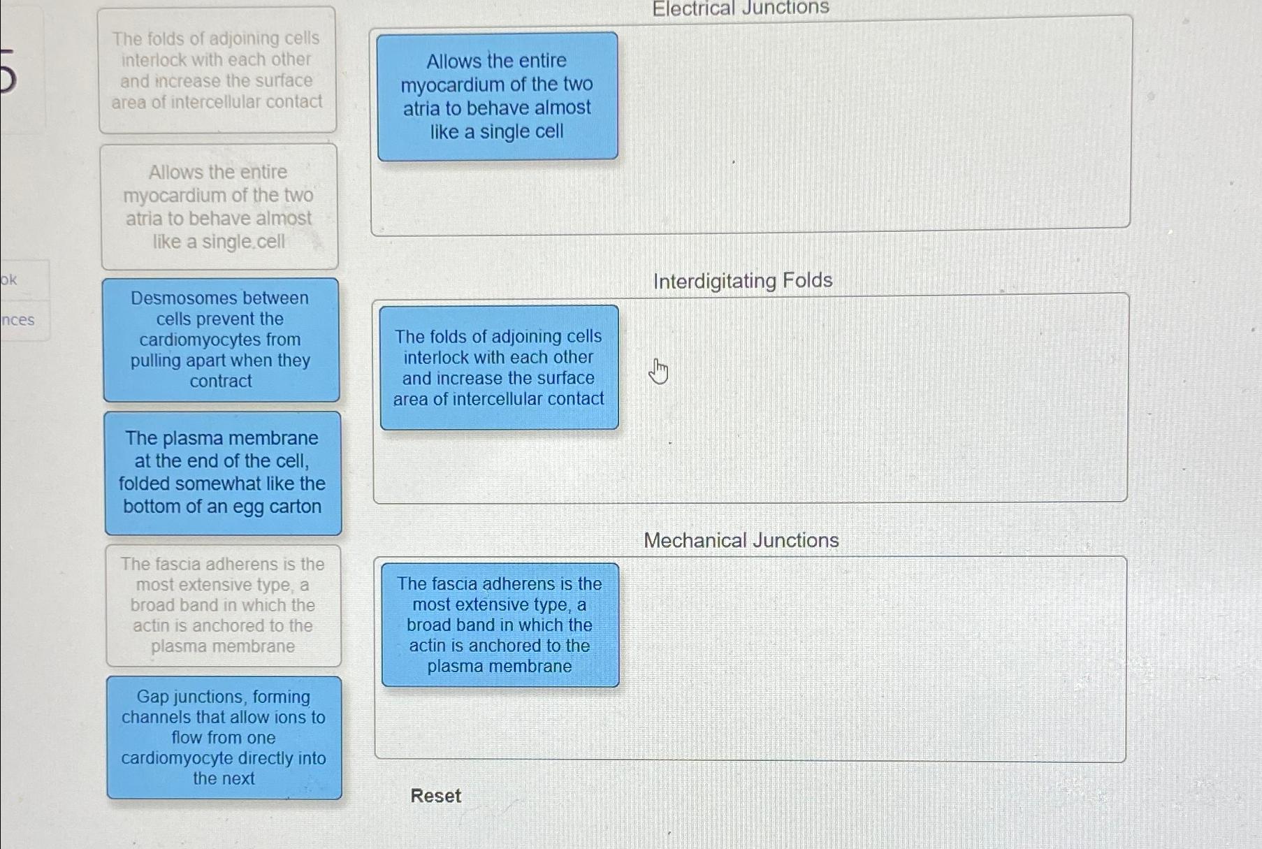 Solved The folds of adjoining cells interlock with each | Chegg.com