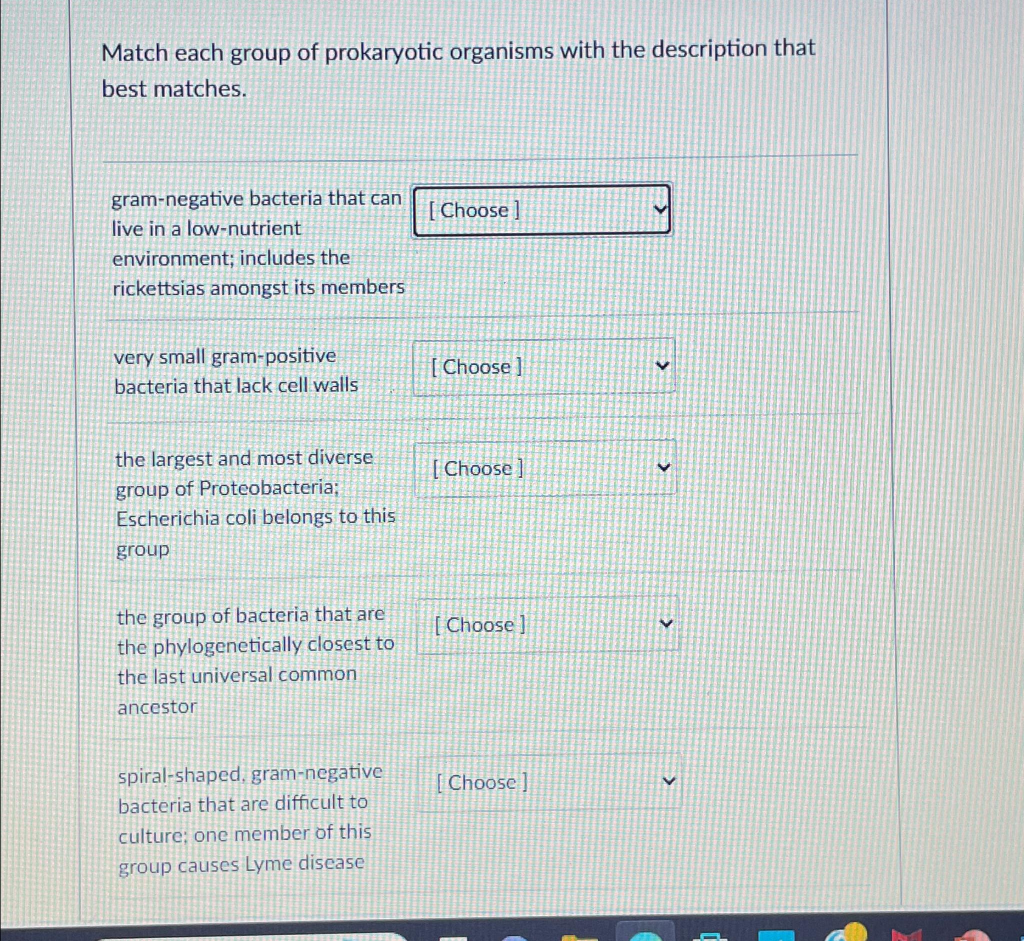 Solved Match each group of prokaryotic organisms with the | Chegg.com