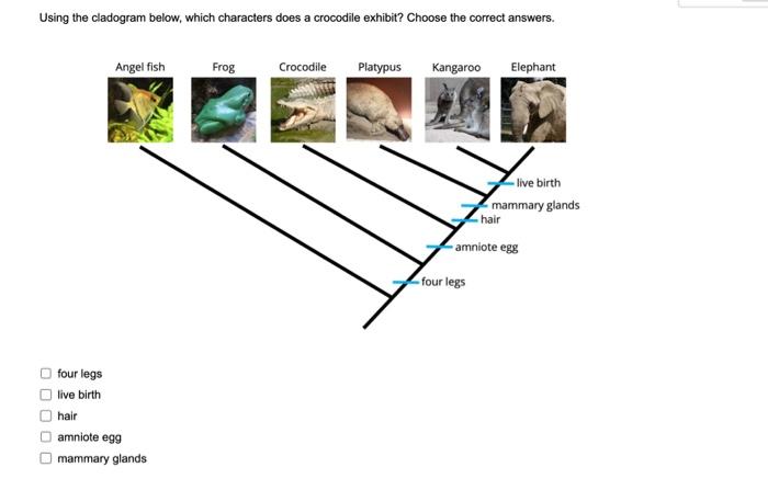 Solved Using the cladogram below, which characters does a | Chegg.com