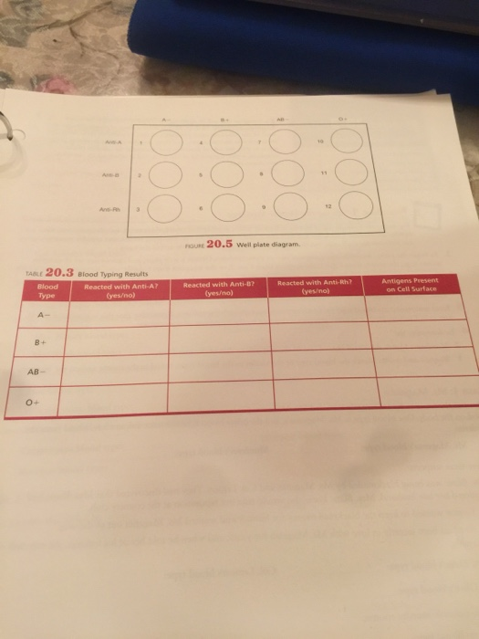 20.5 Well plate diagram TABLE 20.3 Blood Typing | Chegg.com