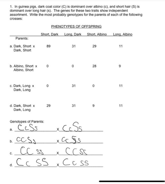 Solved ∴=C ccss ×ccSs - - cCss×ccss - CC SS × CcSs | Chegg.com