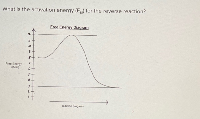 Solved What is the activation energy (Ea) for the reverse | Chegg.com