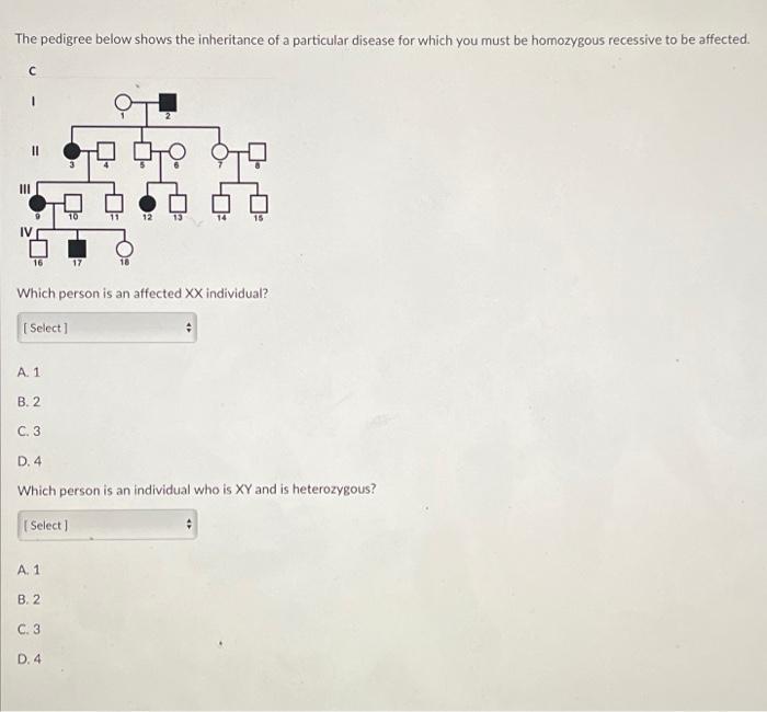 Solved The pedigree below shows the inheritance of a | Chegg.com