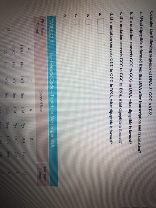 Solved Consider the following sequence of DNA: 3'-GCC | Chegg.com