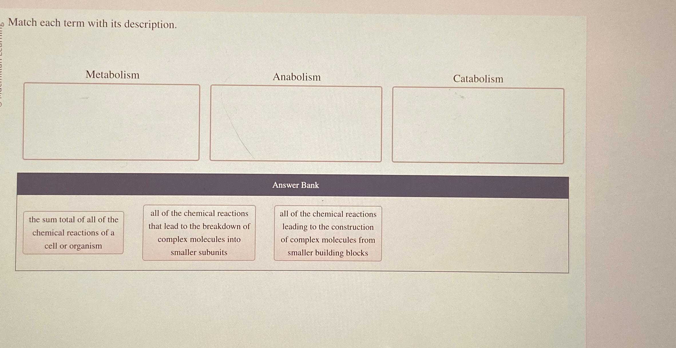 Solved Match each term with its | Chegg.com