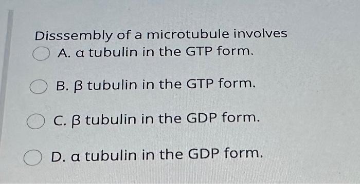 Solved Assembly of a microtubule involves A. a tubulin in | Chegg.com