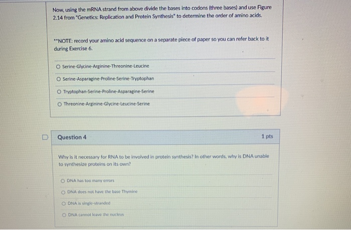 Solved Replicate the DNA strand below and create a | Chegg.com