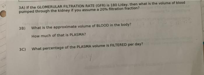 Solved 3A) If the GLOMERULAR FILTRATION RATE (GFR) is 180 | Chegg.com