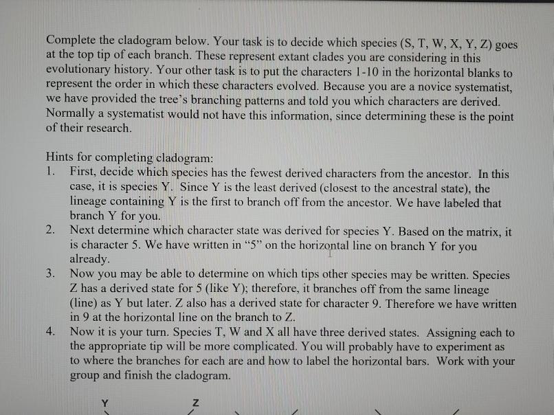 Solved Activities: 1. Try making a simple cladogram using | Chegg.com