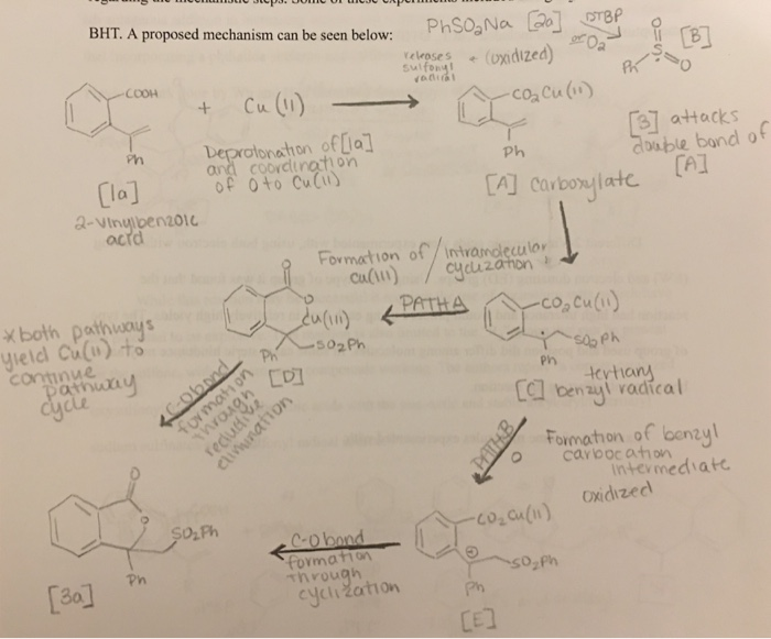 Solved TULIS DOLOR TOP BHT. A proposed mechanism can be seen | Chegg.com