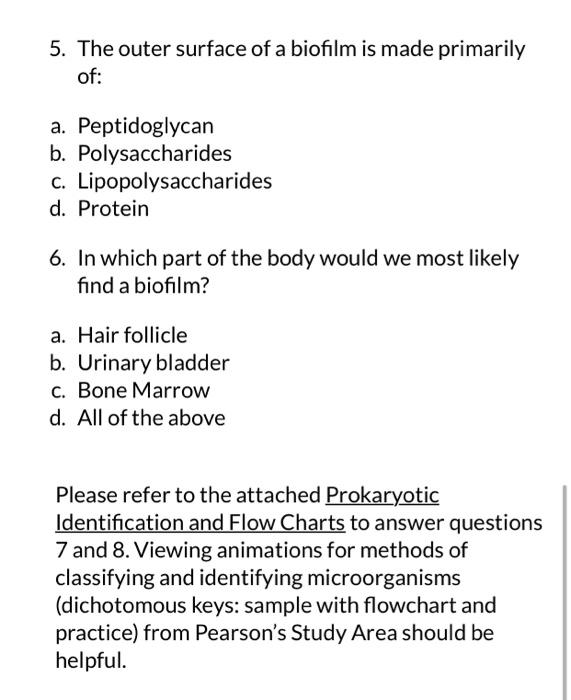 Pre-lab Quiz 5 Instructions Please view the | Chegg.com